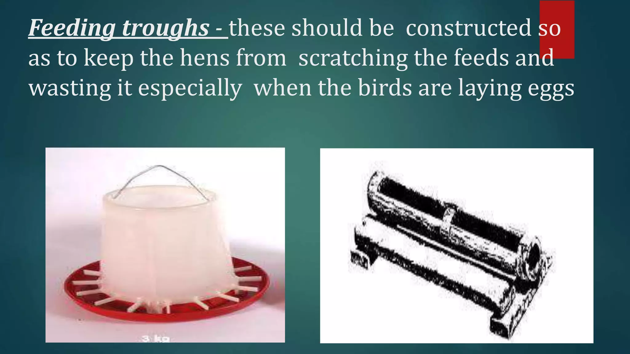 Poultry equipment and facilities | PPTX