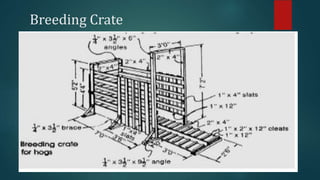 Poultry equipment and facilities | PPTX