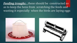 Poultry equipment and facilities | PPTX