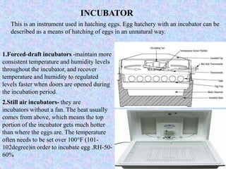 Poultry equipments | PPTX