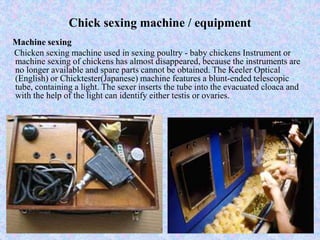 Poultry equipments | PPTX
