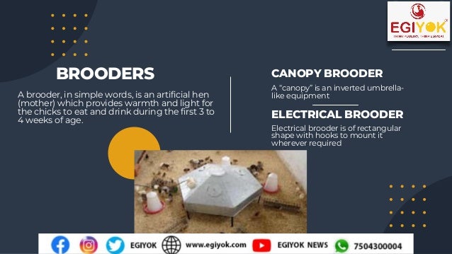 Poultry Equipments PPT.pdf