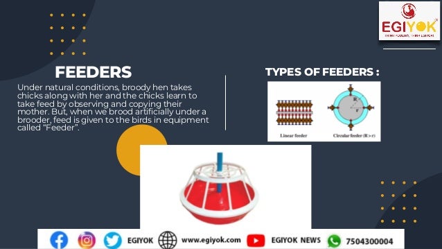 Poultry Equipments PPT.pdf