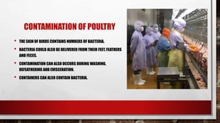 Poultryeservation.pptx