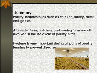 Poultry farming Shared By Abdul Qahar | PPT
