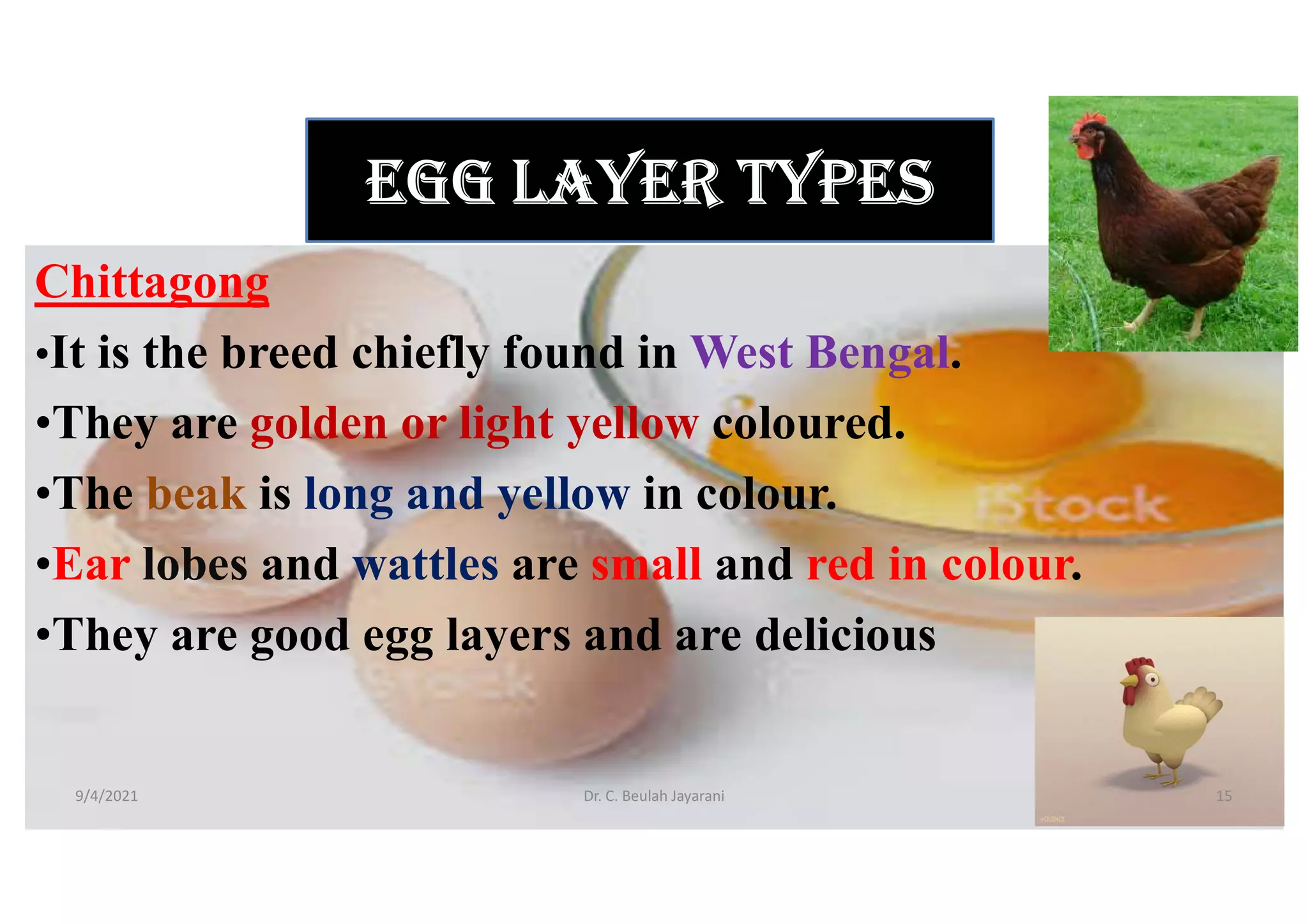 Poultry farming | PDF