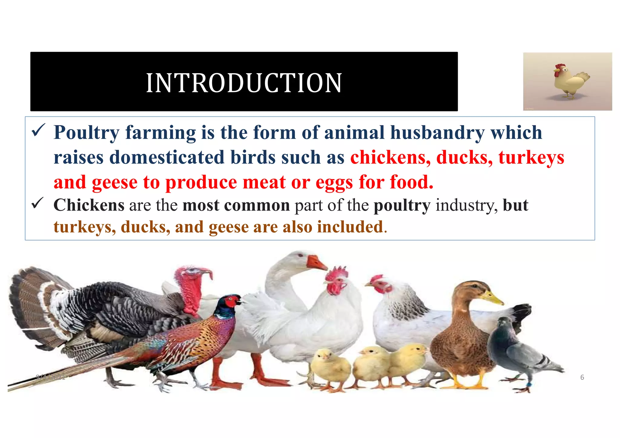 Poultry farming | PDF