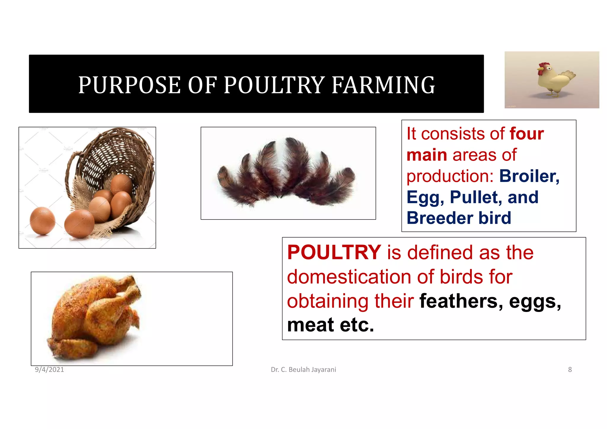 Poultry farming | PDF