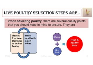 Poultry farming | PDF
