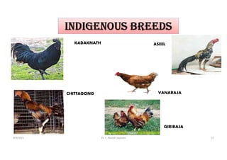 Poultry farming | PDF