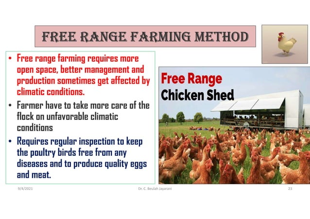 Poultry farming | PDF