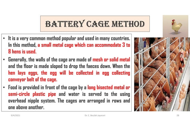 Poultry farming | PDF