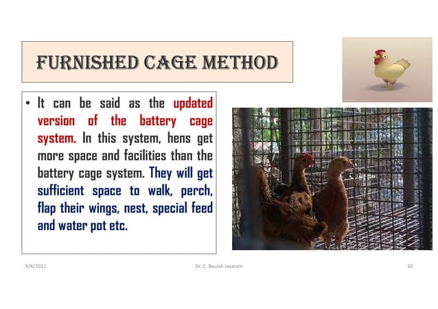 Poultry farming | PDF