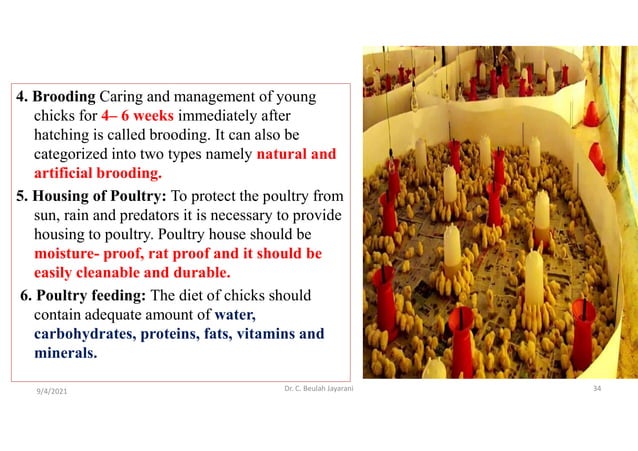 Poultry farming | PDF