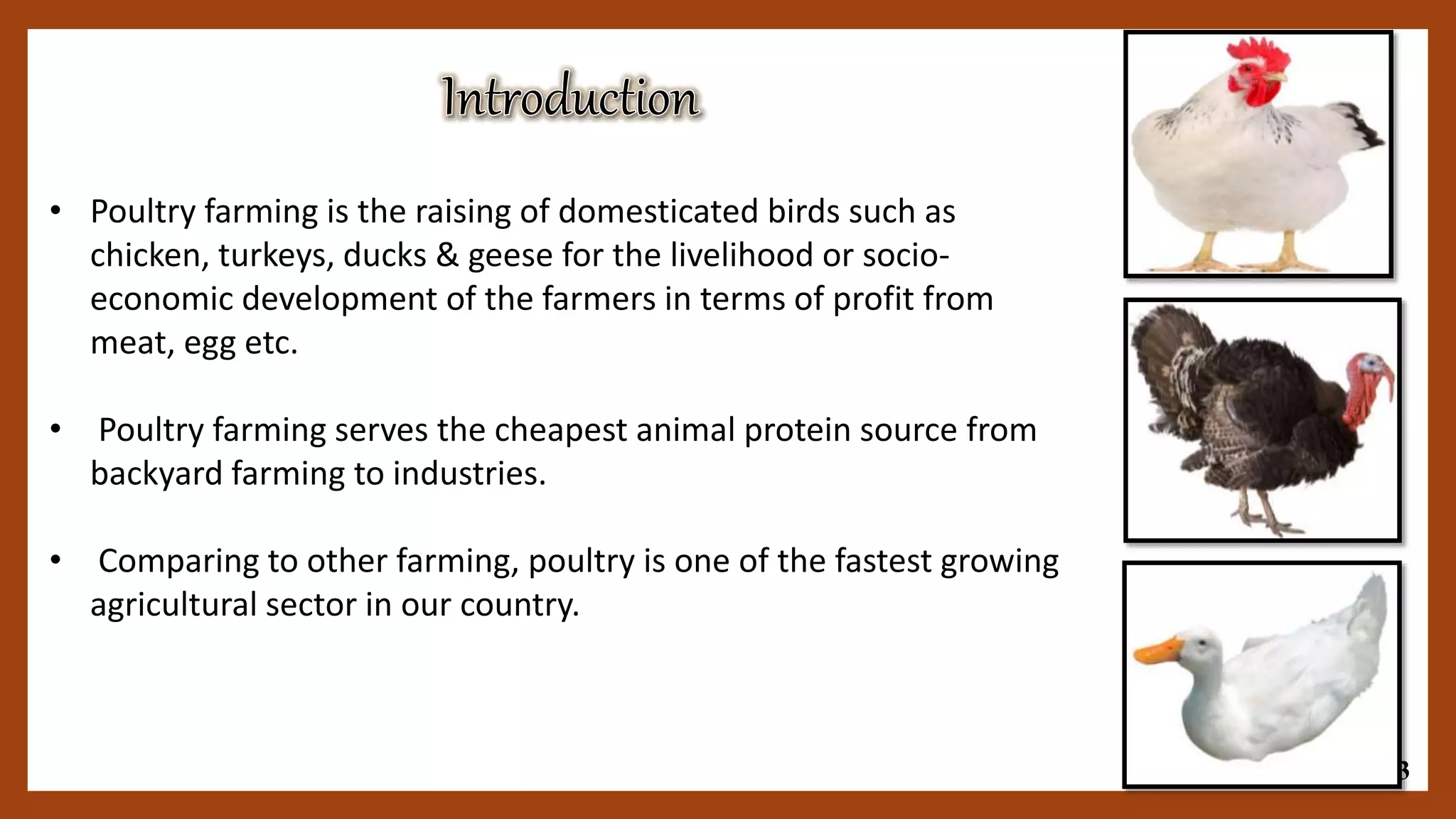 poultry_farming_.....final presentation.pptx