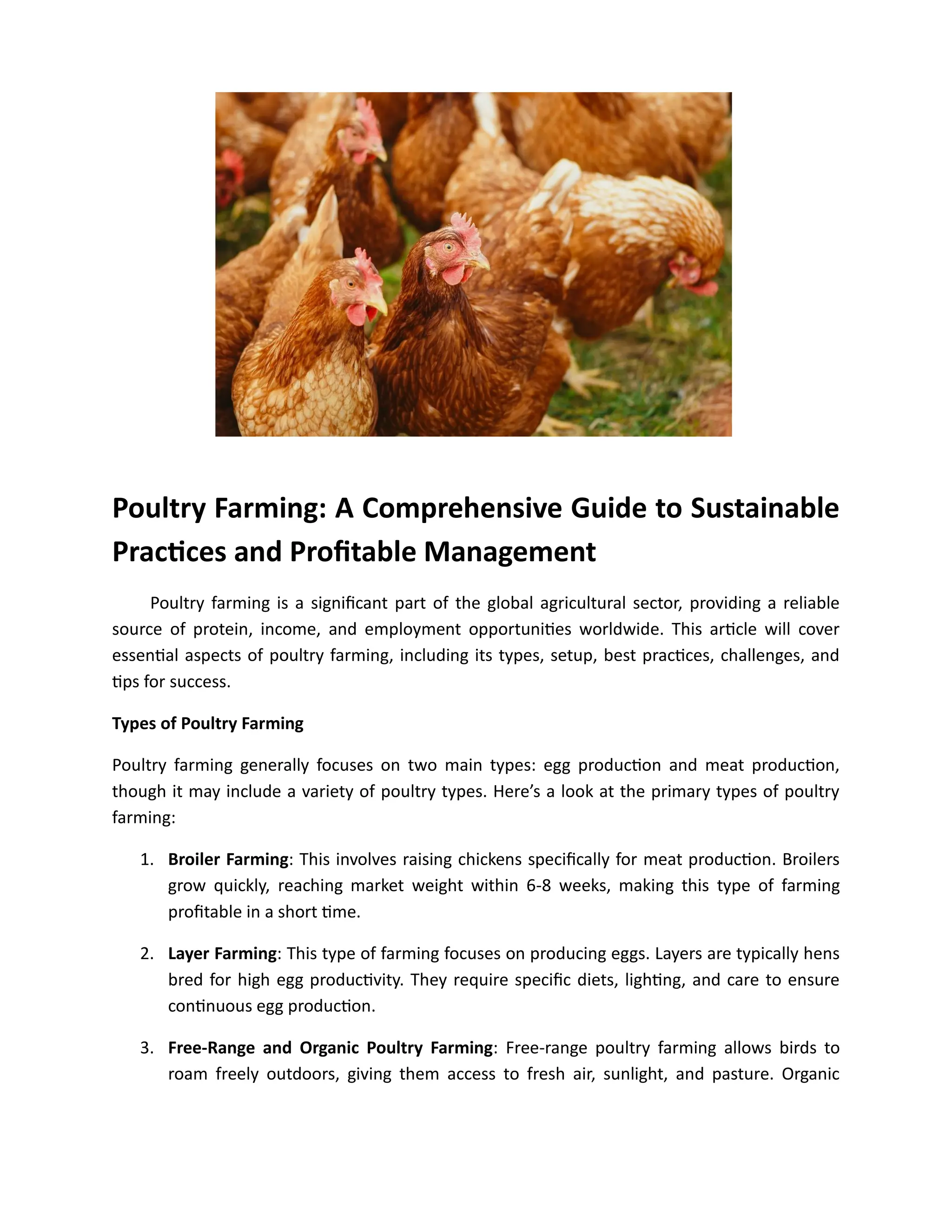 It is a Chicken Farming Equipment Manufacturer | PDF | Agriculture ...