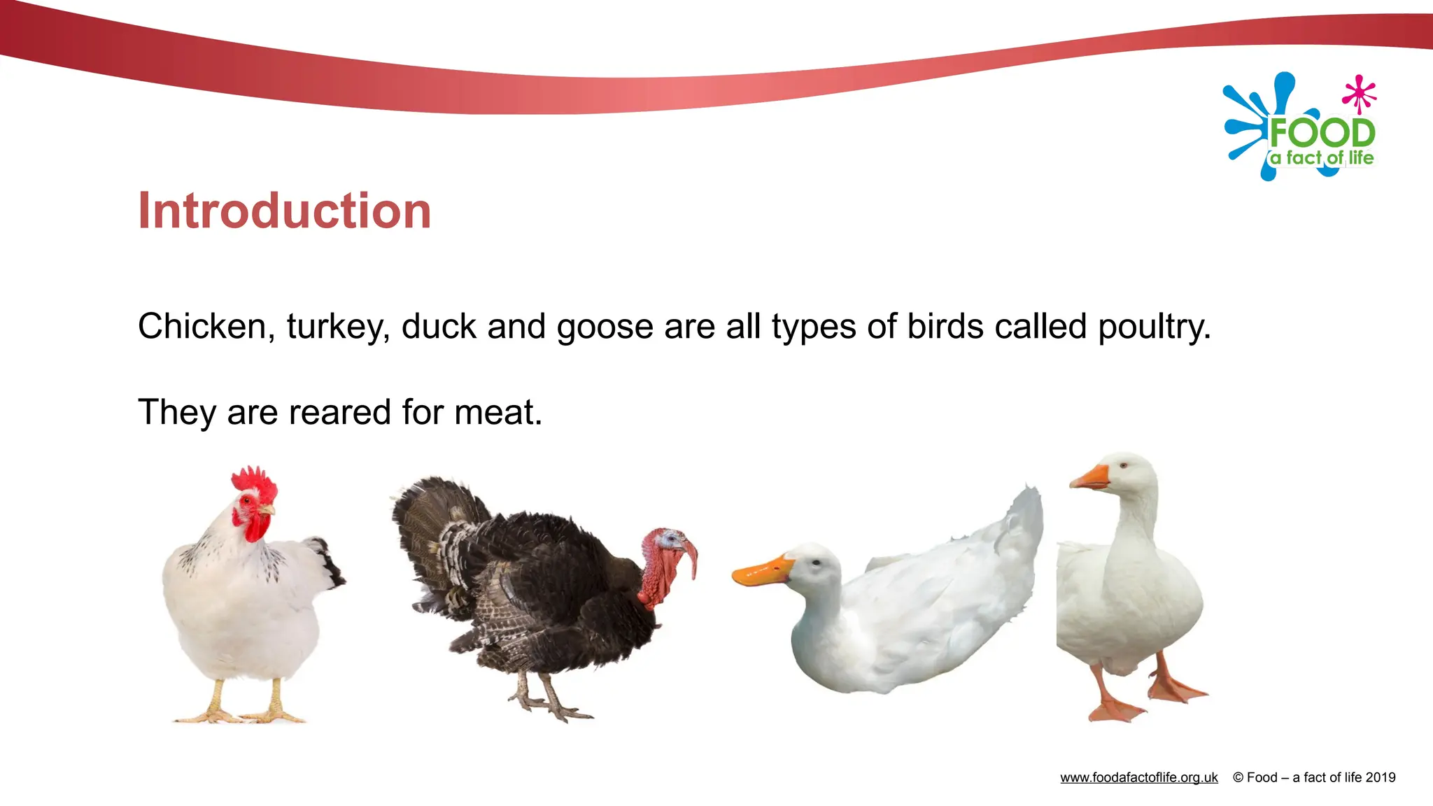 Poultry farming practices in india .pptx