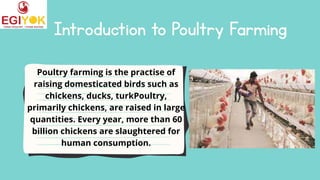 Poultry farming | PPTX