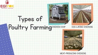 Poultry farming | PPTX