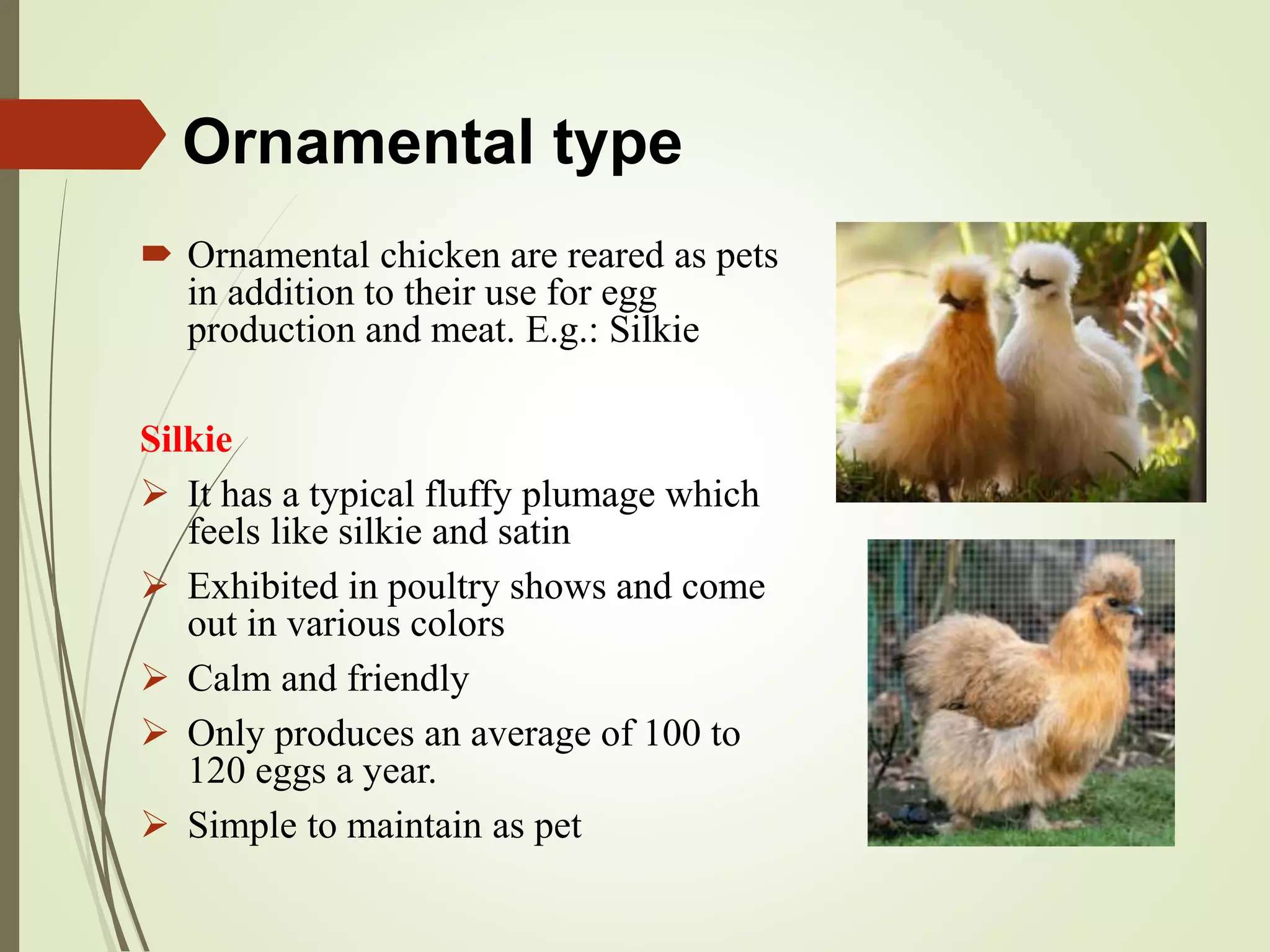 Poultry Farming Lecture .pptx