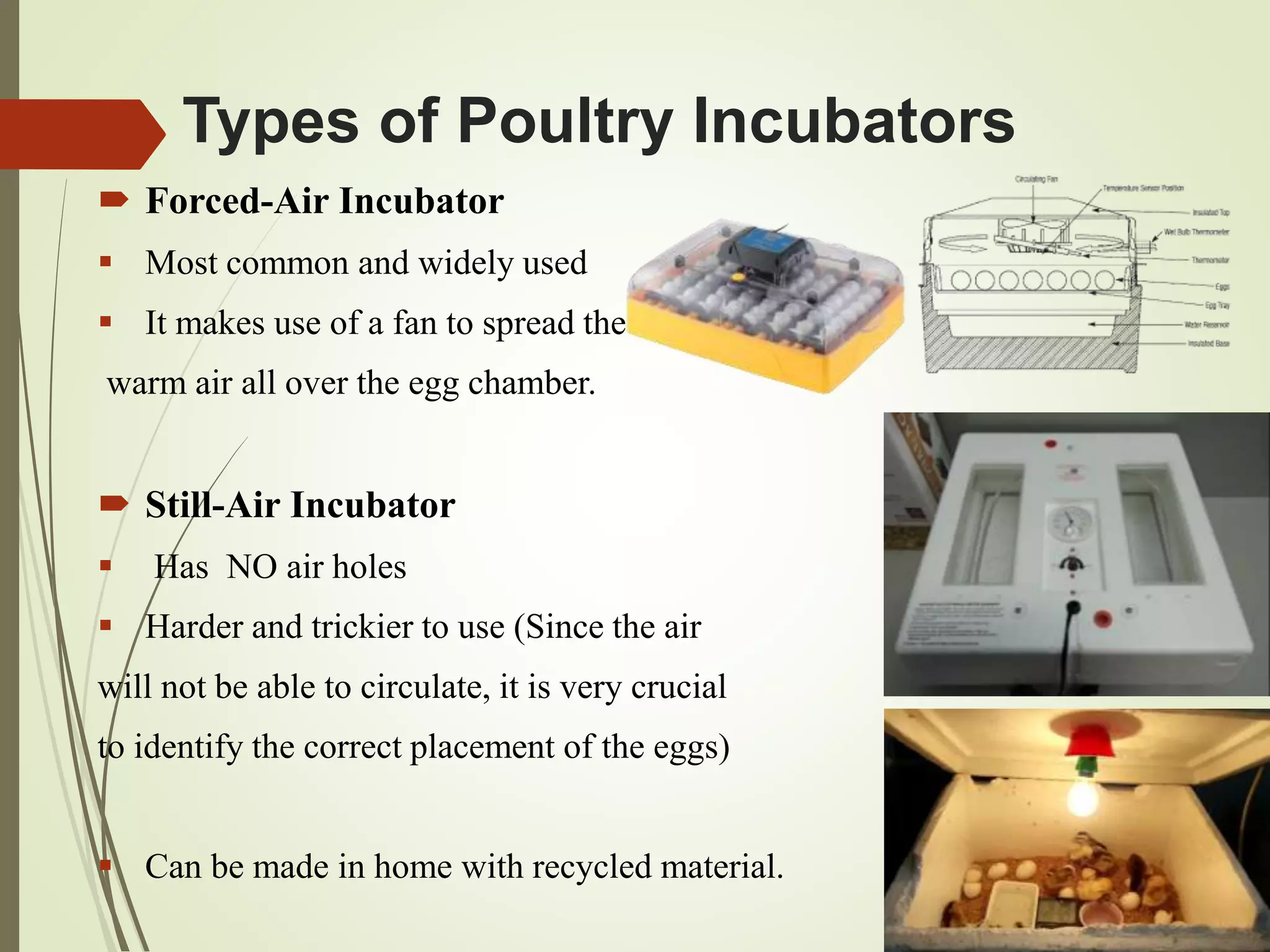 Poultry Farming Lecture .pptx