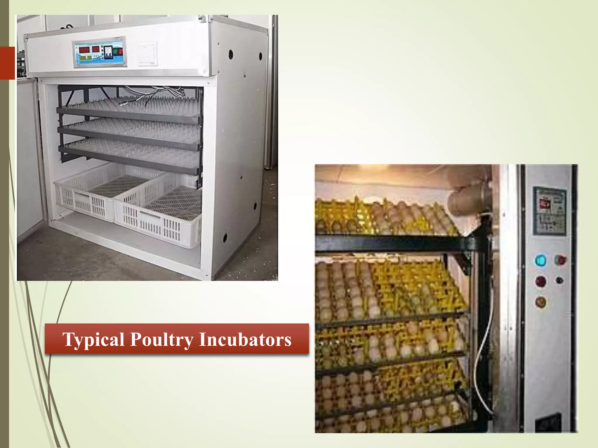 Poultry Farming Lecture .pptx