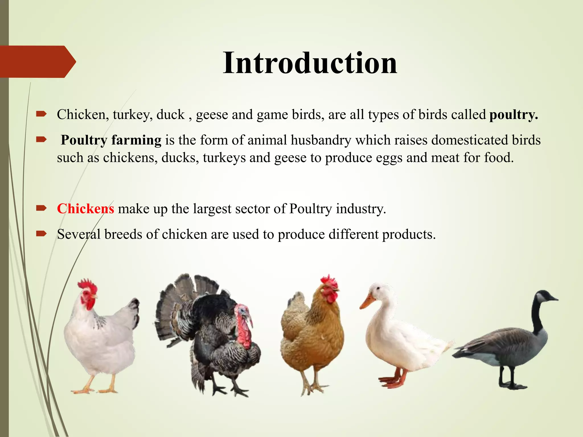 Poultry Farming Lecture .pptx