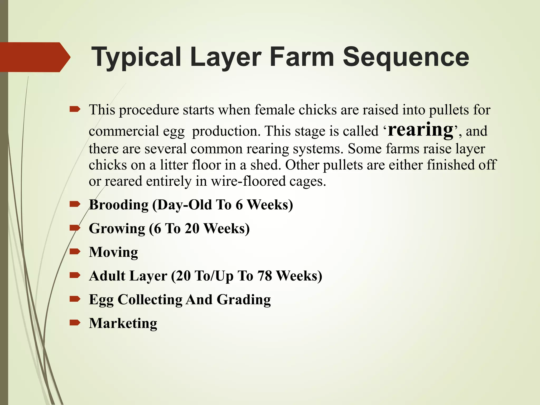 Poultry Farming Lecture .pptx