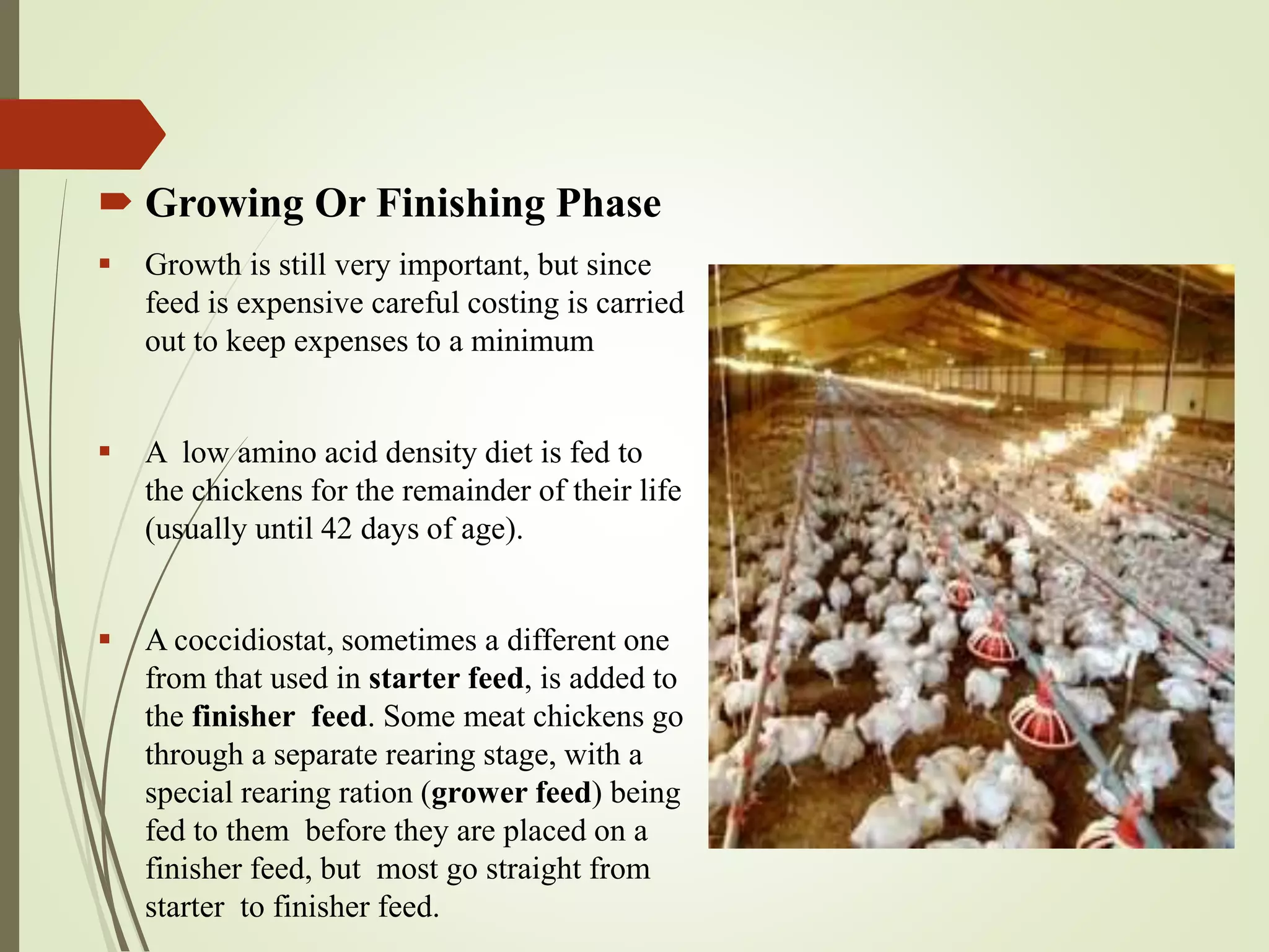 Poultry Farming Lecture .pptx