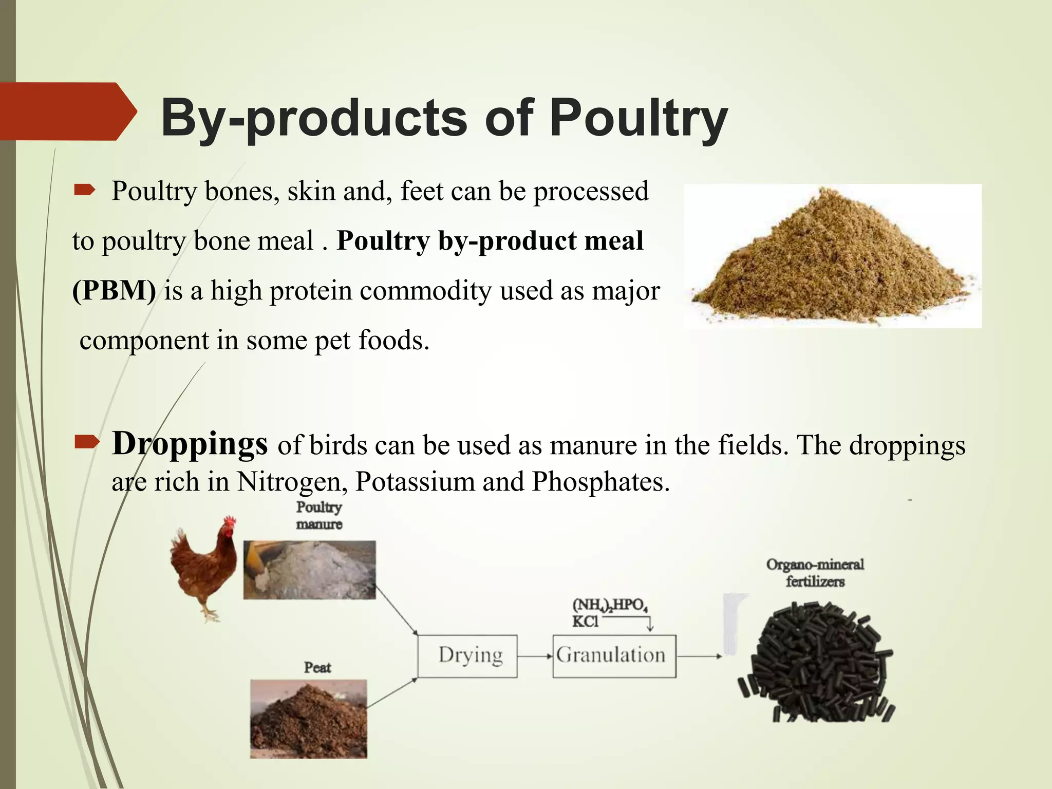 Poultry Farming Lecture .pptx