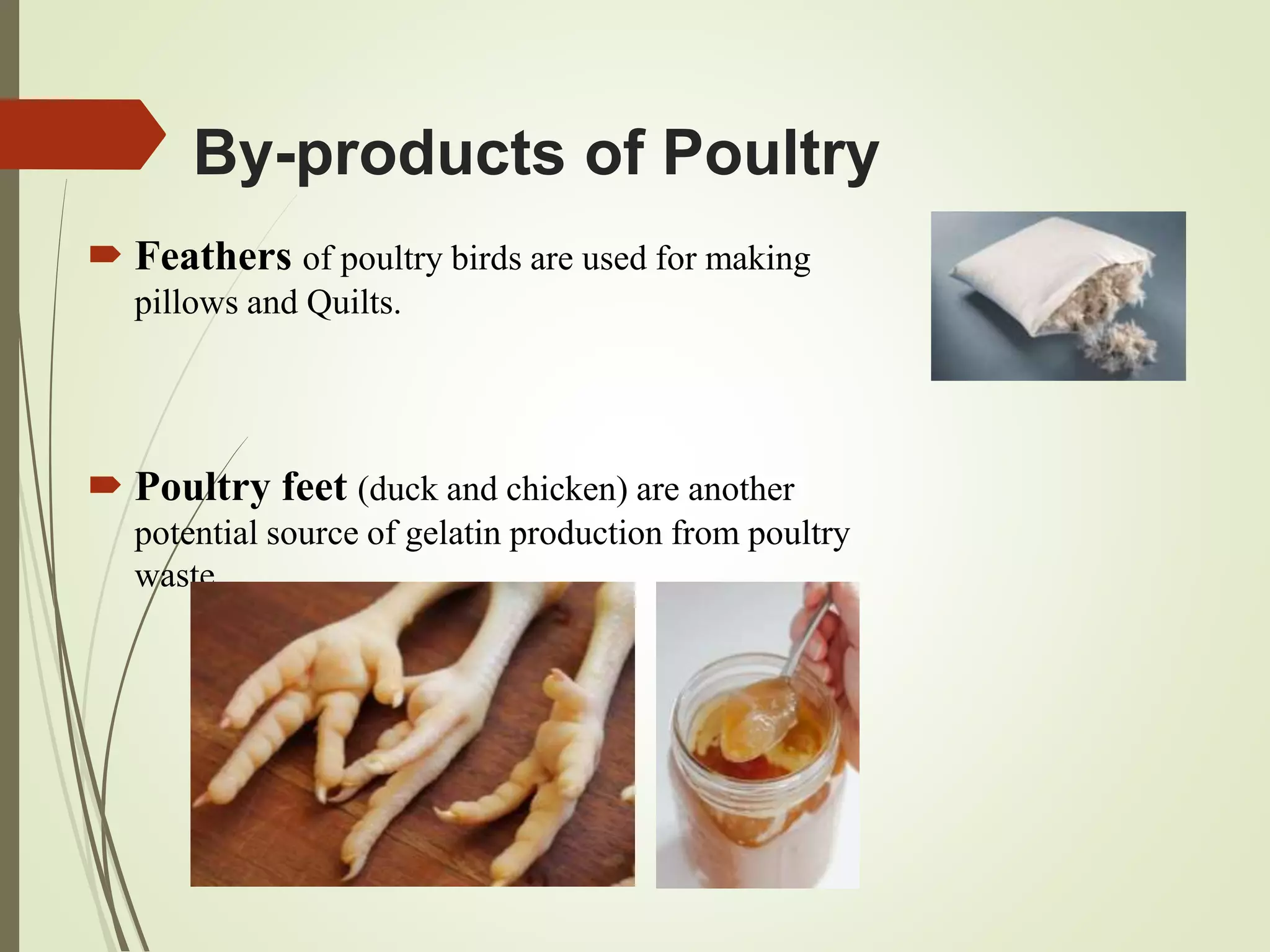 Poultry Farming Lecture .pptx