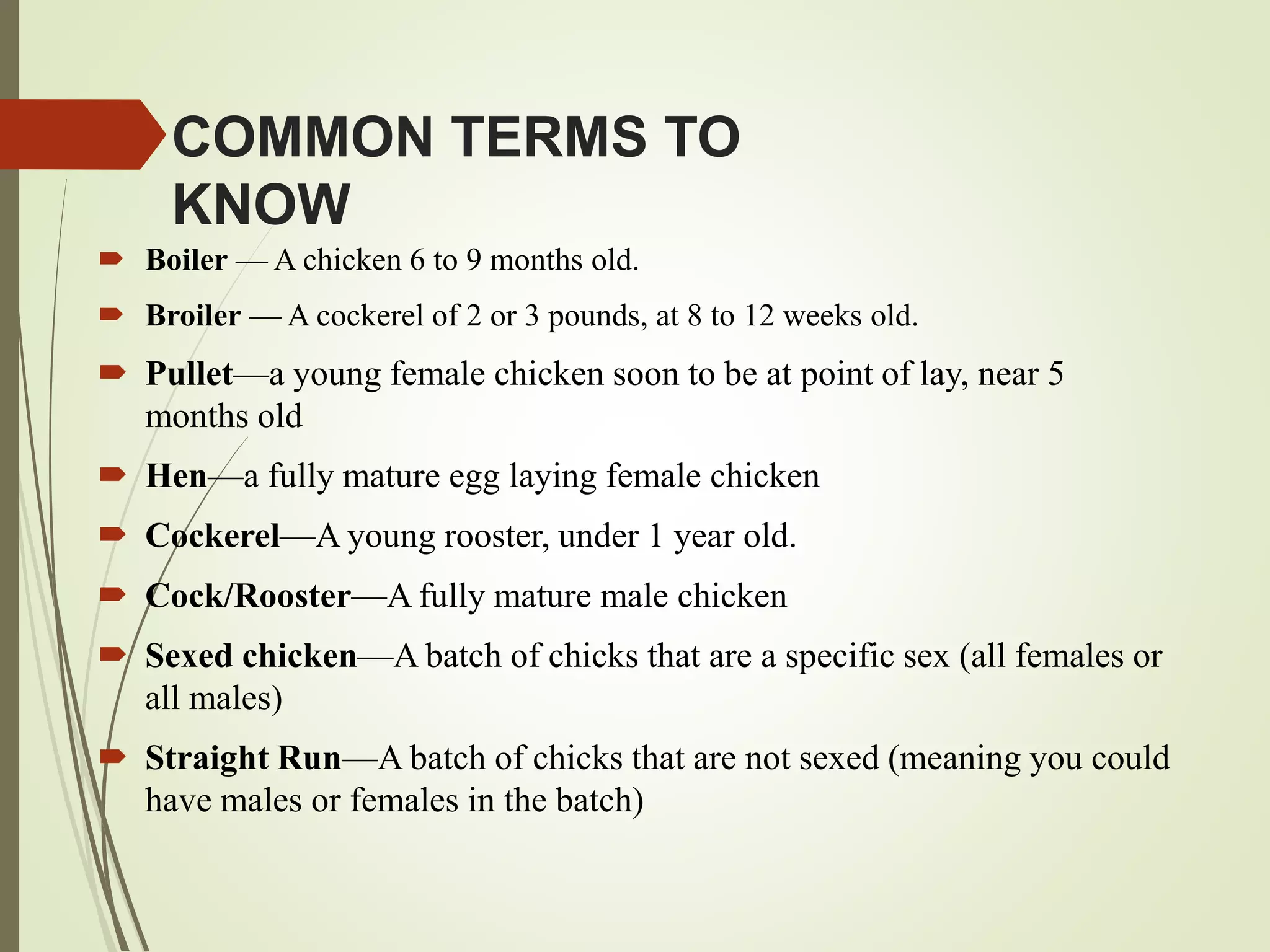 Poultry Farming Lecture .pptx