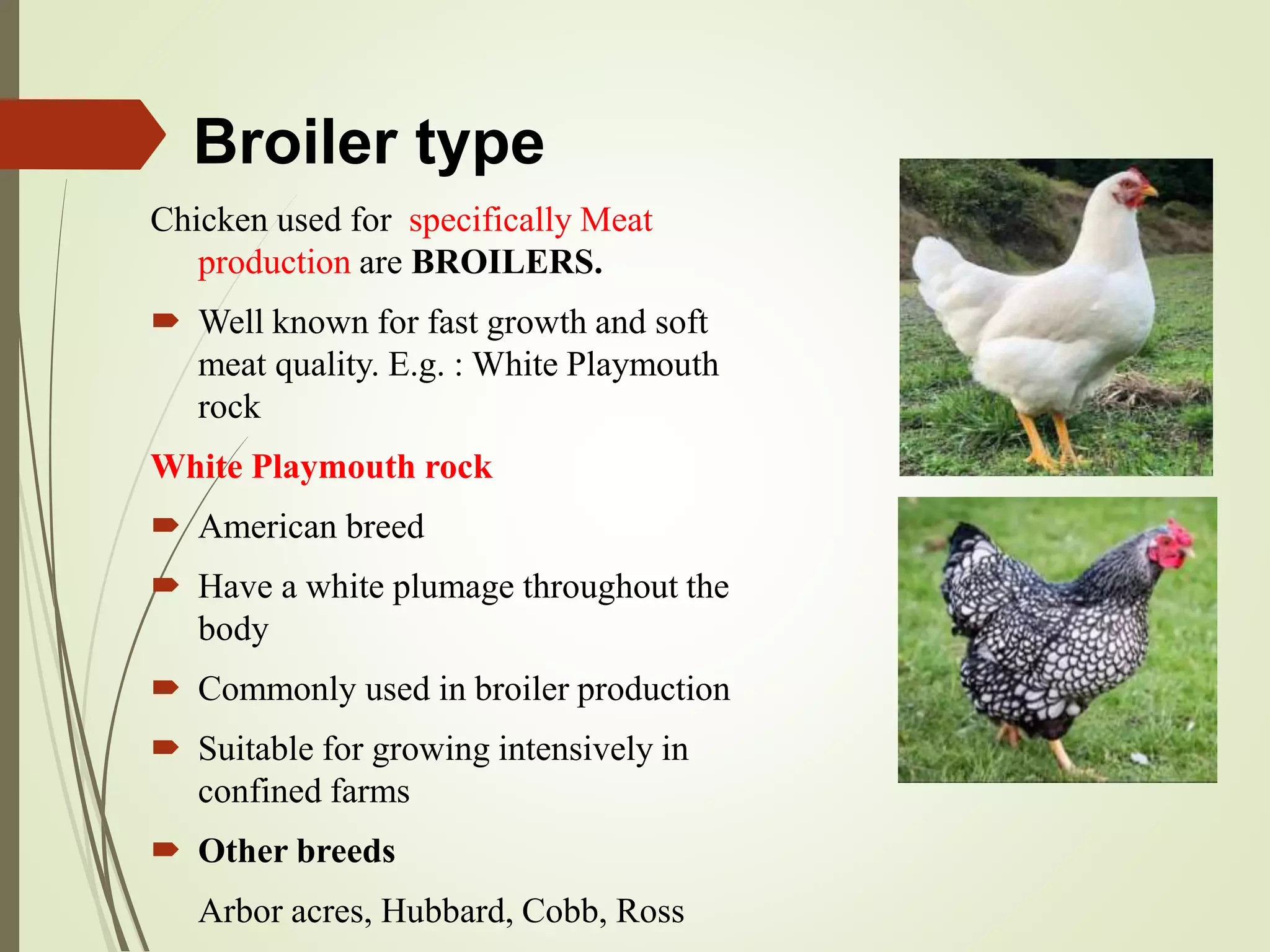 Poultry Farming Lecture .pptx