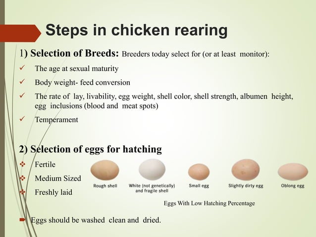 Poultry Farming Lecture .pptx