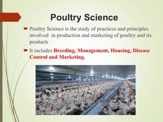 Poultry Farming Lecture .pptx