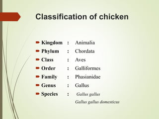 Poultry Farming Lecture .pptx