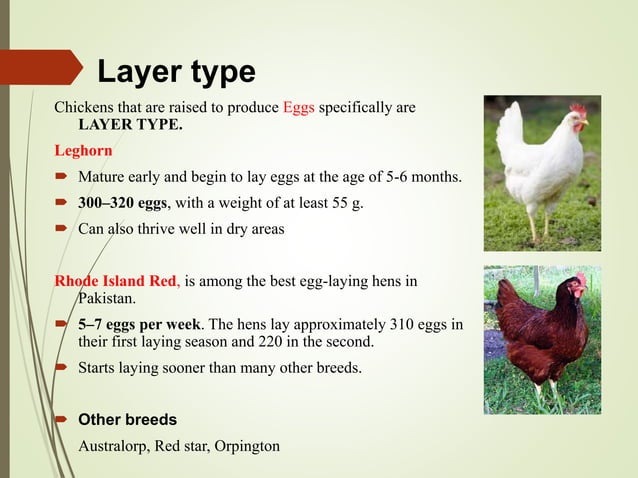 Poultry Farming Lecture .pptx