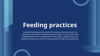 Poultry Farming Management system and project.pptx