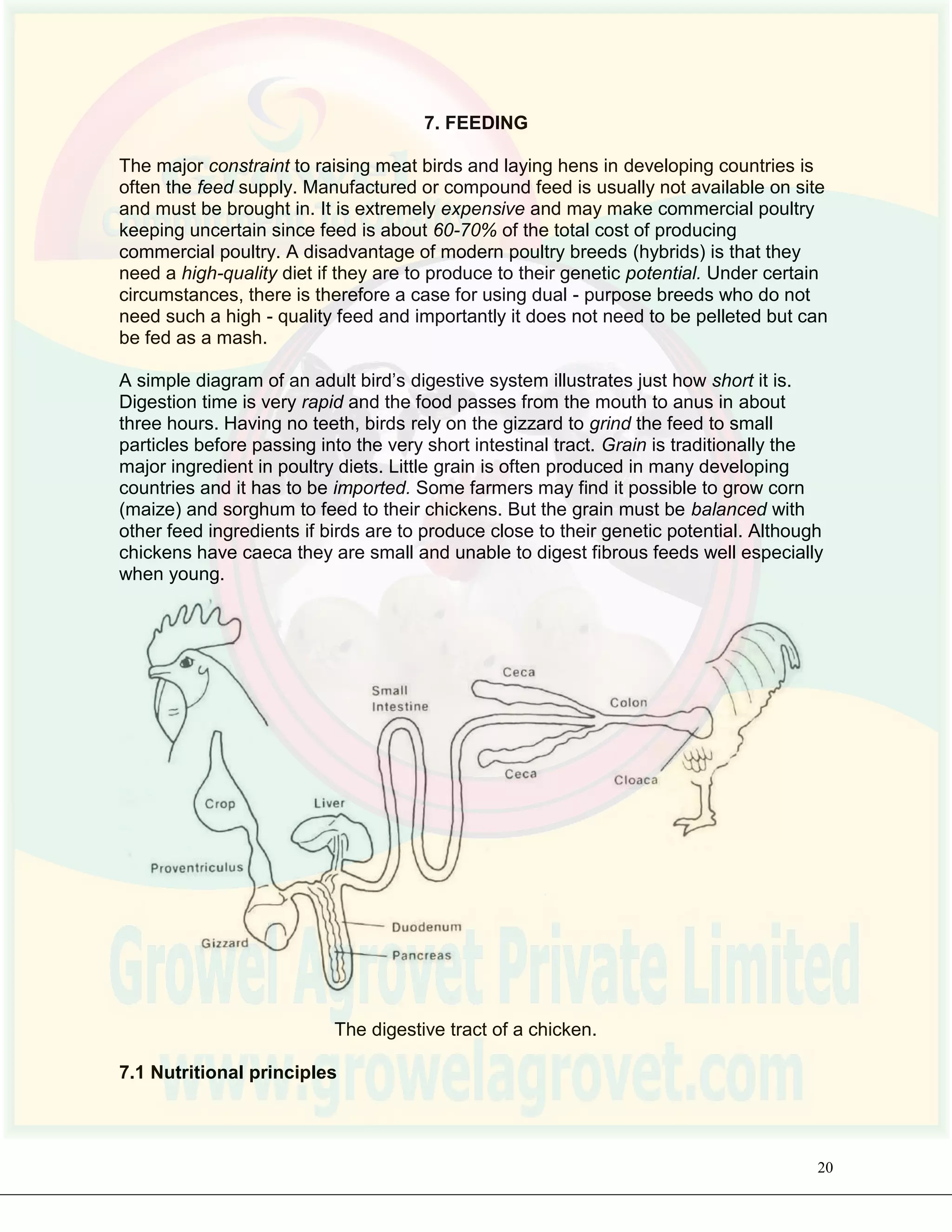 Poultry Farming Training Course | PDF