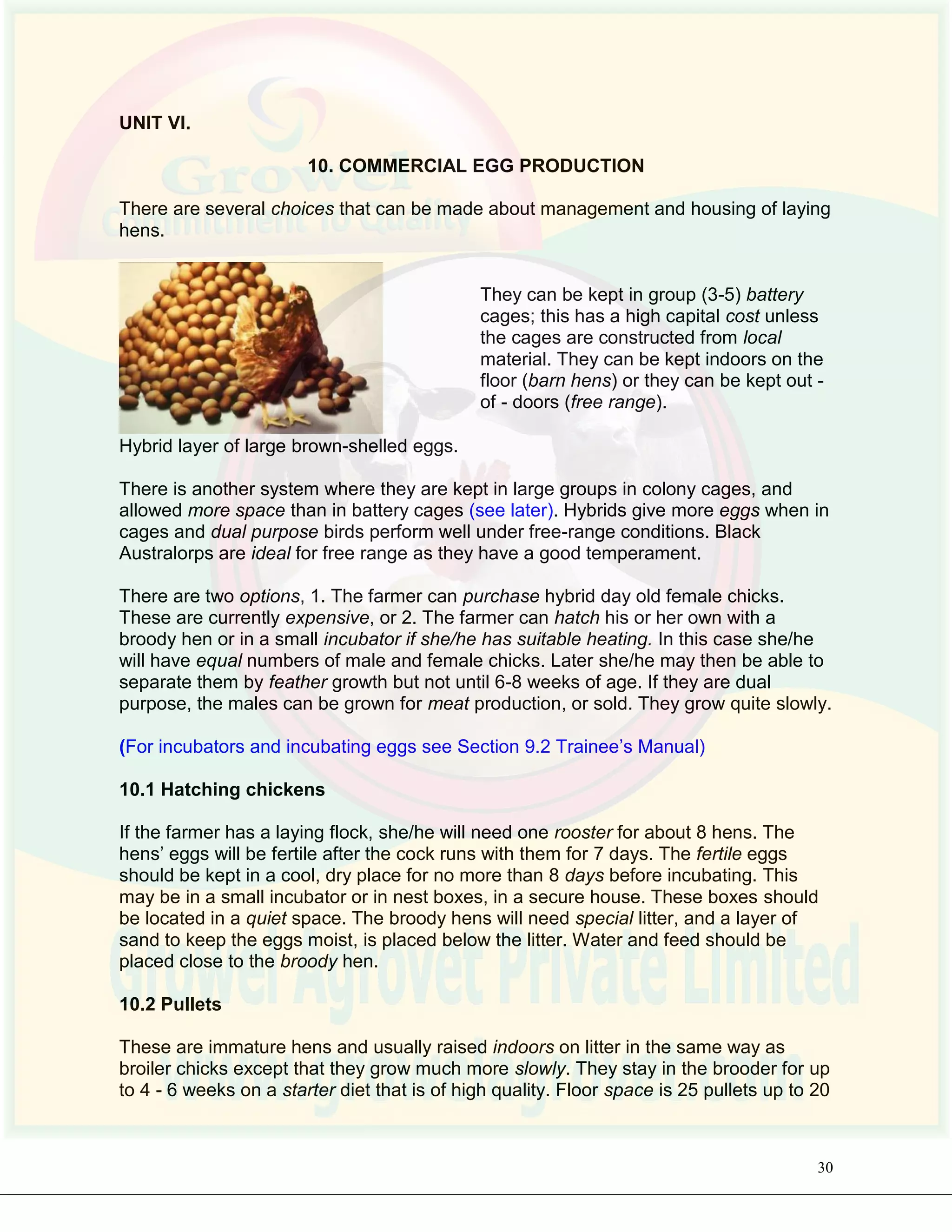 Poultry Farming Training Course | PDF