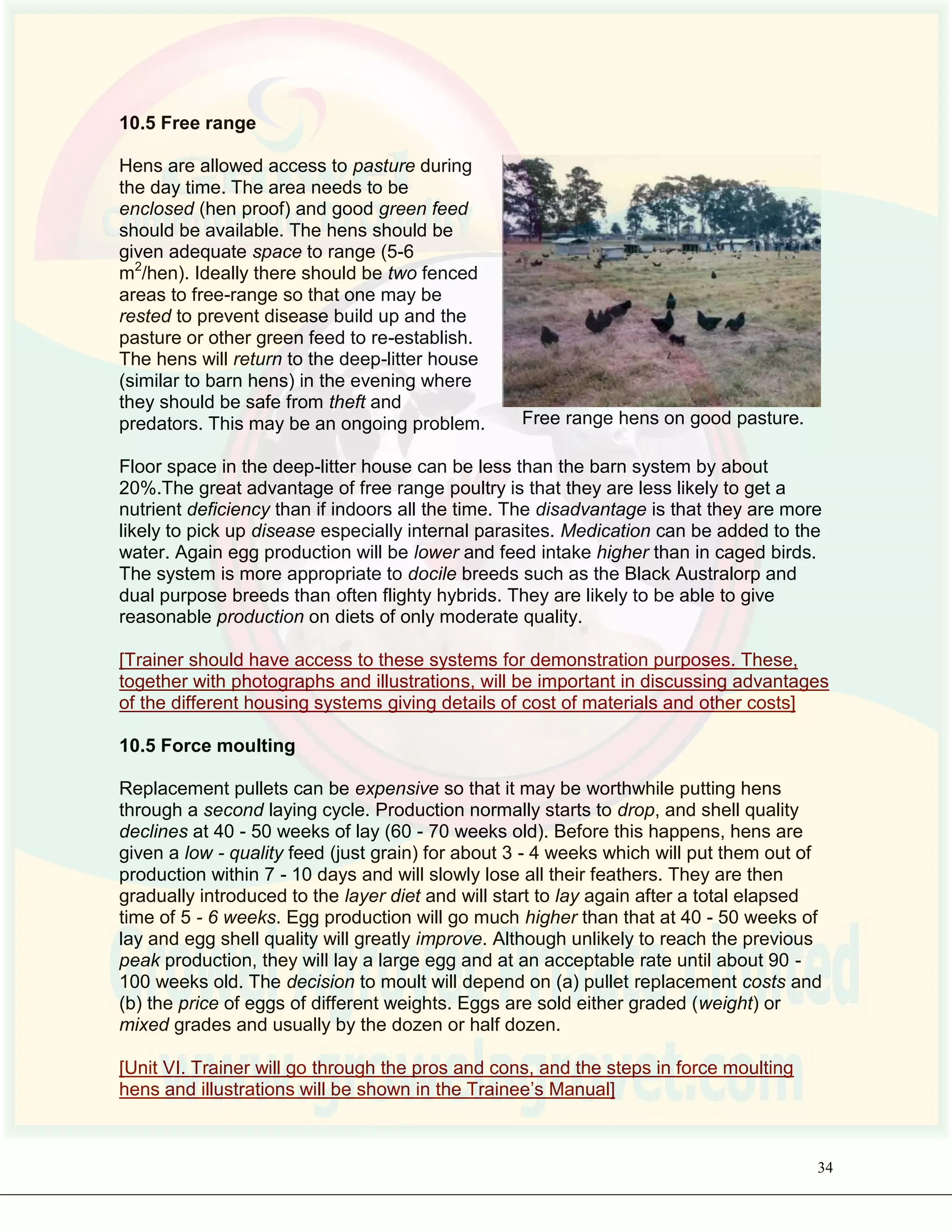 Poultry Farming Training Course | PDF