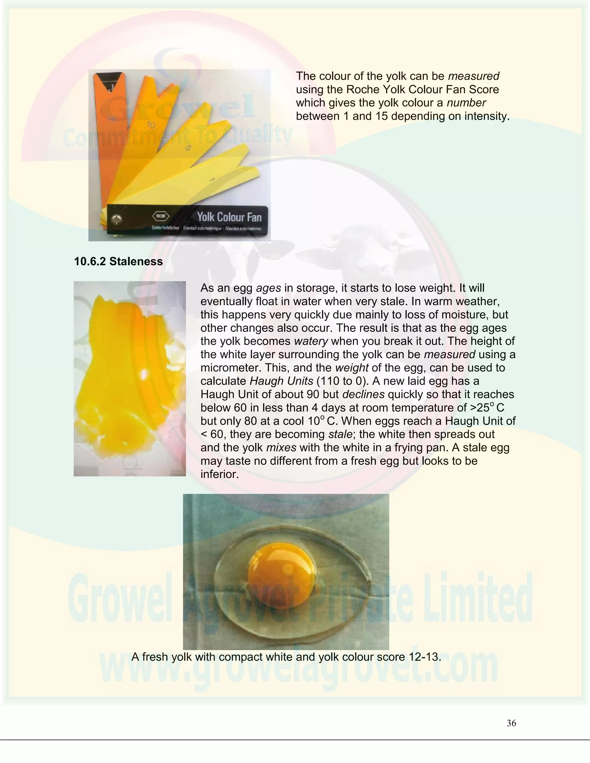 Poultry Farming Training Course | PDF