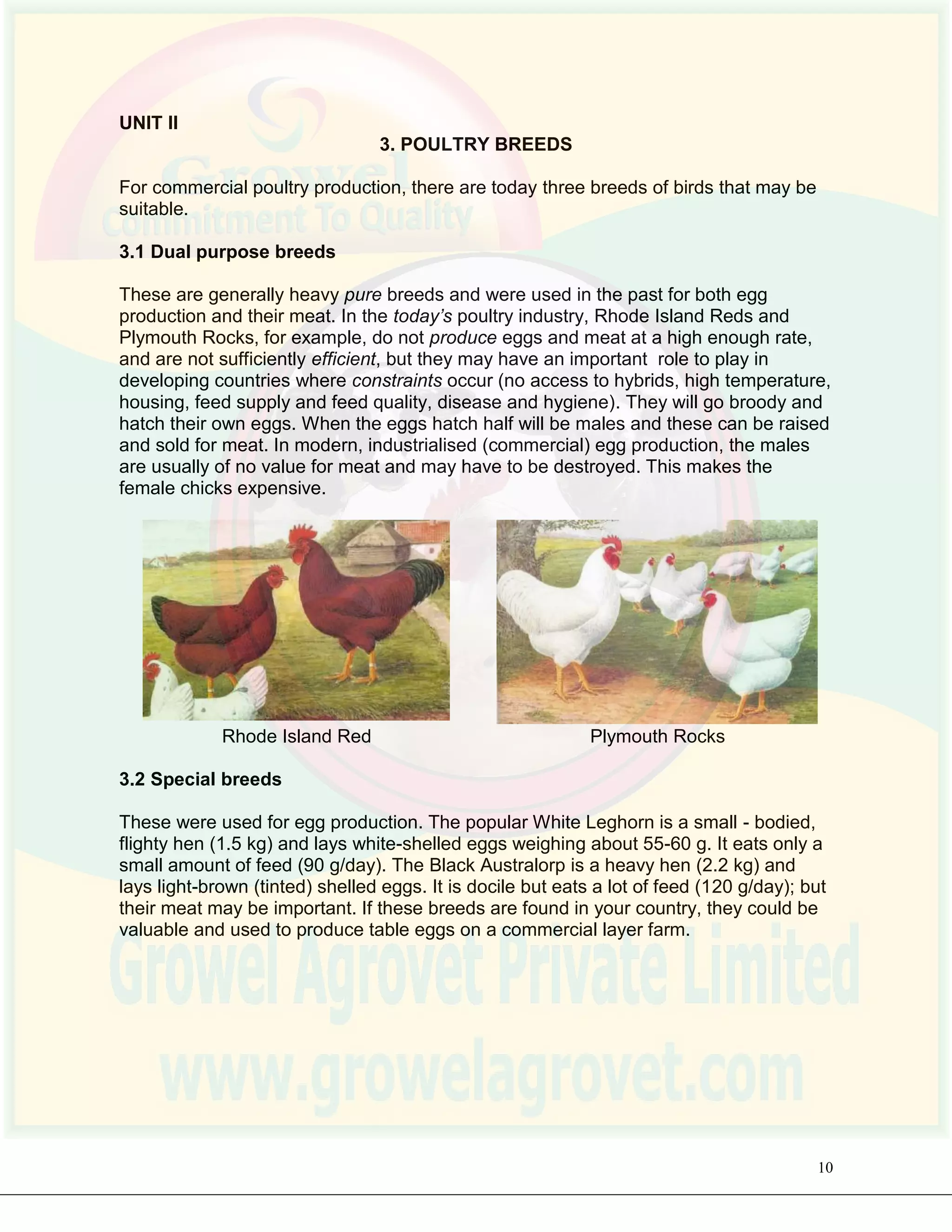 Poultry Farming Training Course | PDF