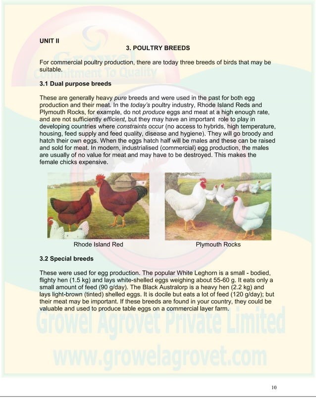 Poultry Farming Training Course | PDF