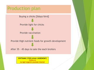 POULTRY FARM PROJECT.pdf