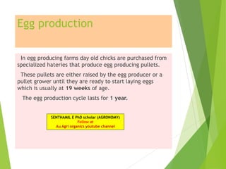 POULTRY FARM PROJECT.pdf