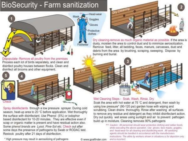 Poultry Farms Biosecurity | PPT