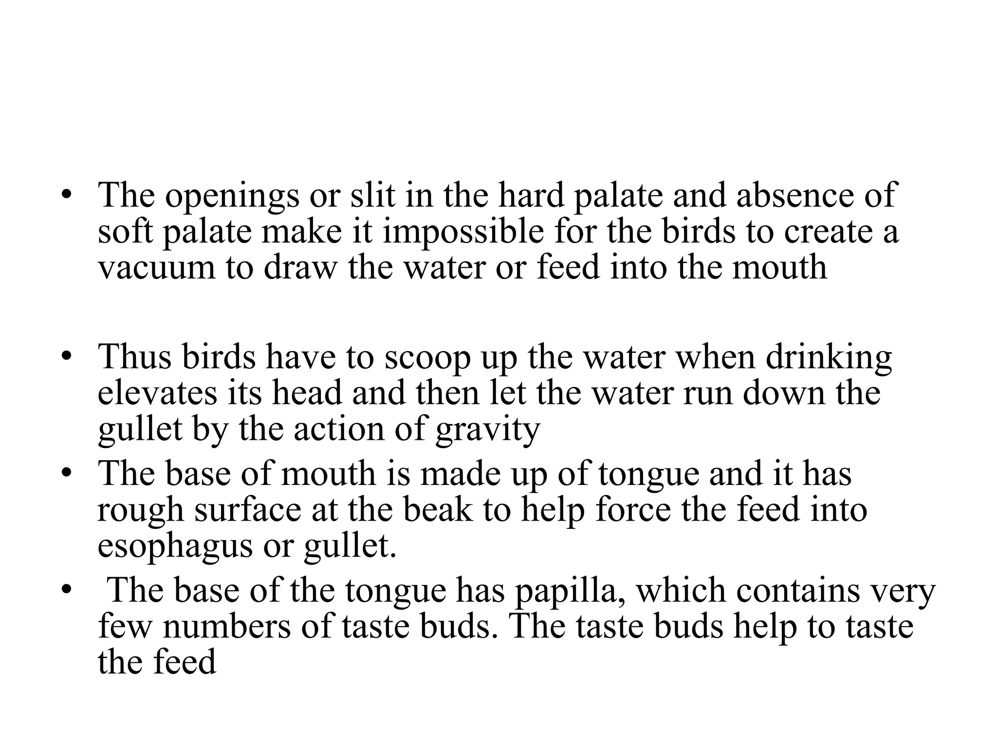 digestive system of Poultry | PPTX