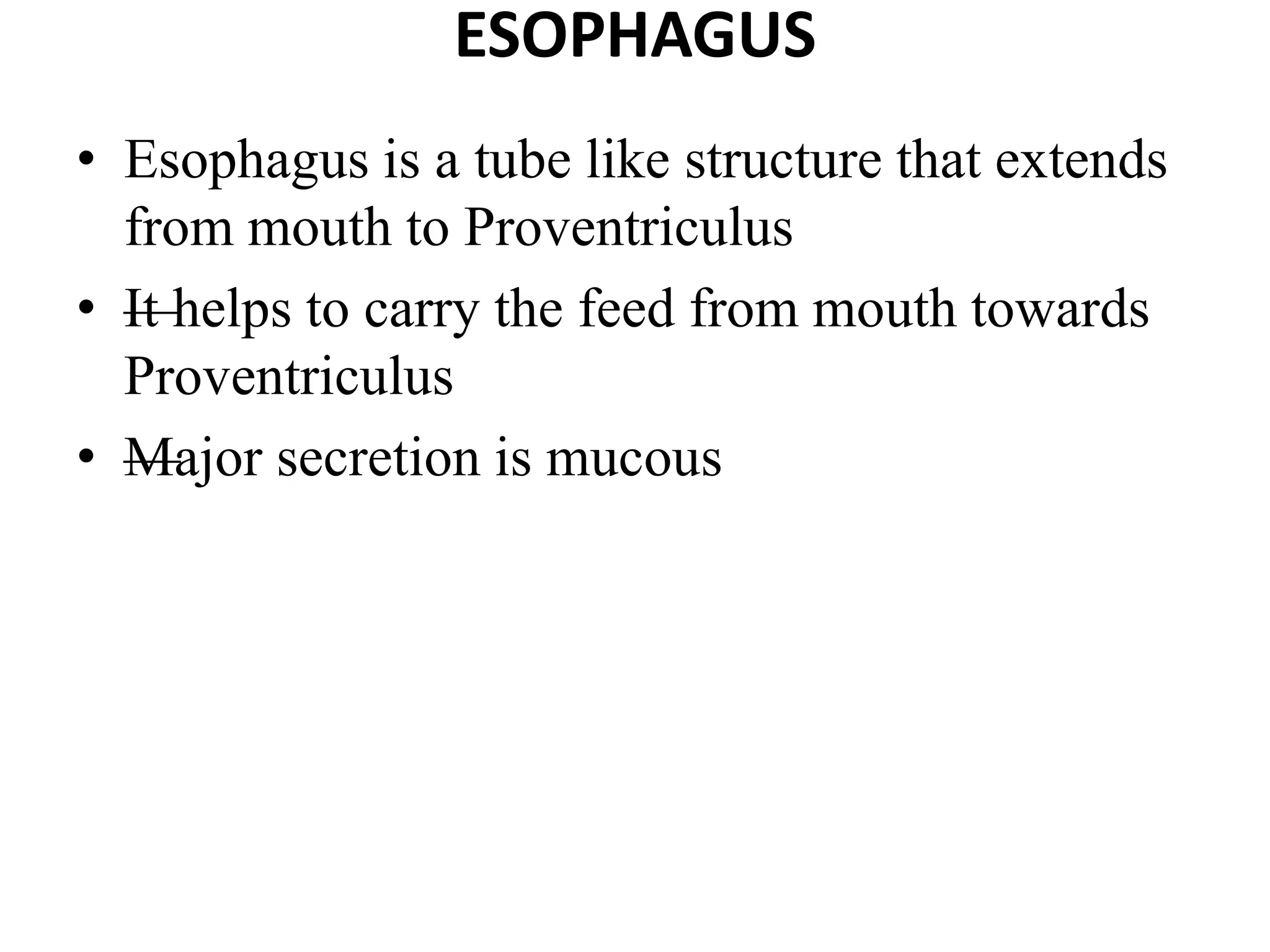 digestive system of Poultry | PPTX