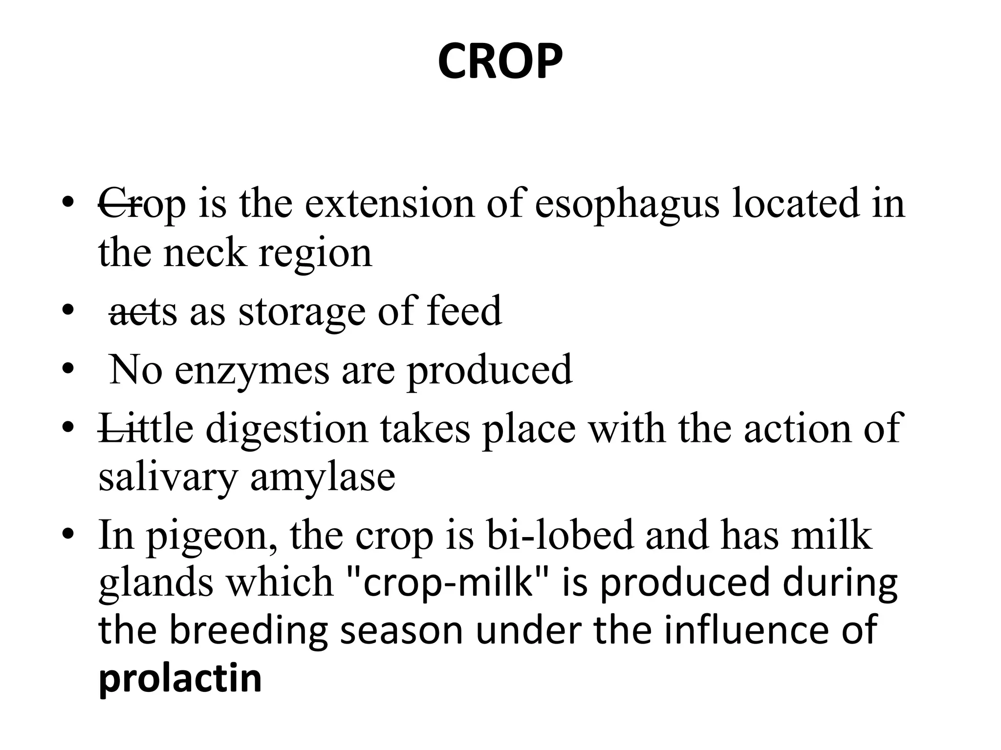 digestive system of Poultry | PPTX